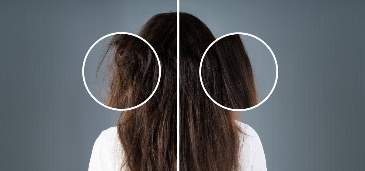 HOW TO REPAIR DAMAGED HAIR – BOOST N BLEND USA