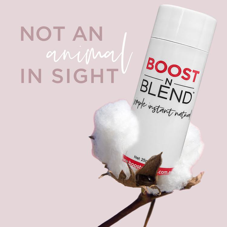 What is Boost N Blend? – BOOST N BLEND USA